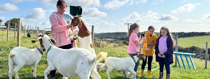 Frampton Farm Dover Kent