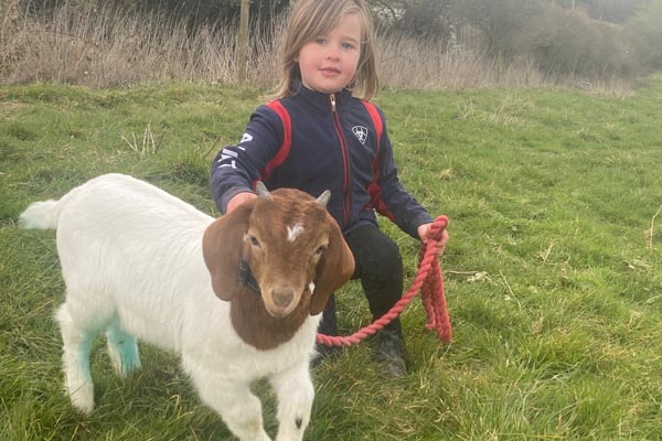 Frampton Farm Dover Kent