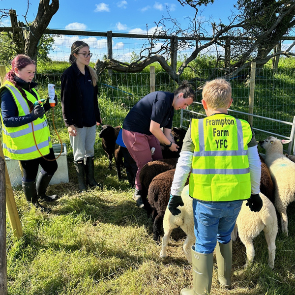 Young Farmers Club Dover & Folkestone, Kent